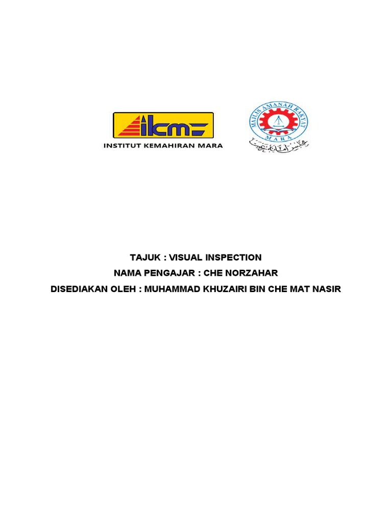 Visual Inspection | PDF