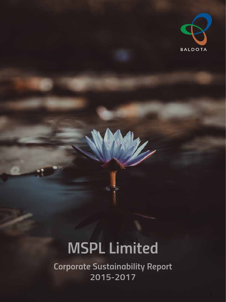 MSPL Sustainability Report 2015 17 | PDF | Sustainability | Corporate ...