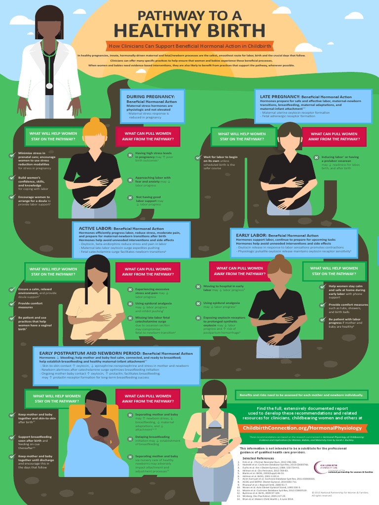 pathway-to-a-healthy-birth-for-clinicians-poster-full-bleed | PDF ...