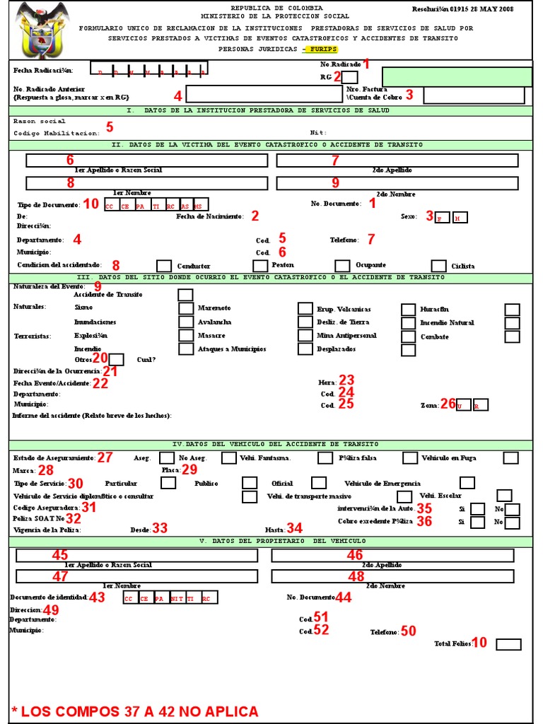 Furips Campos Formato | PDF