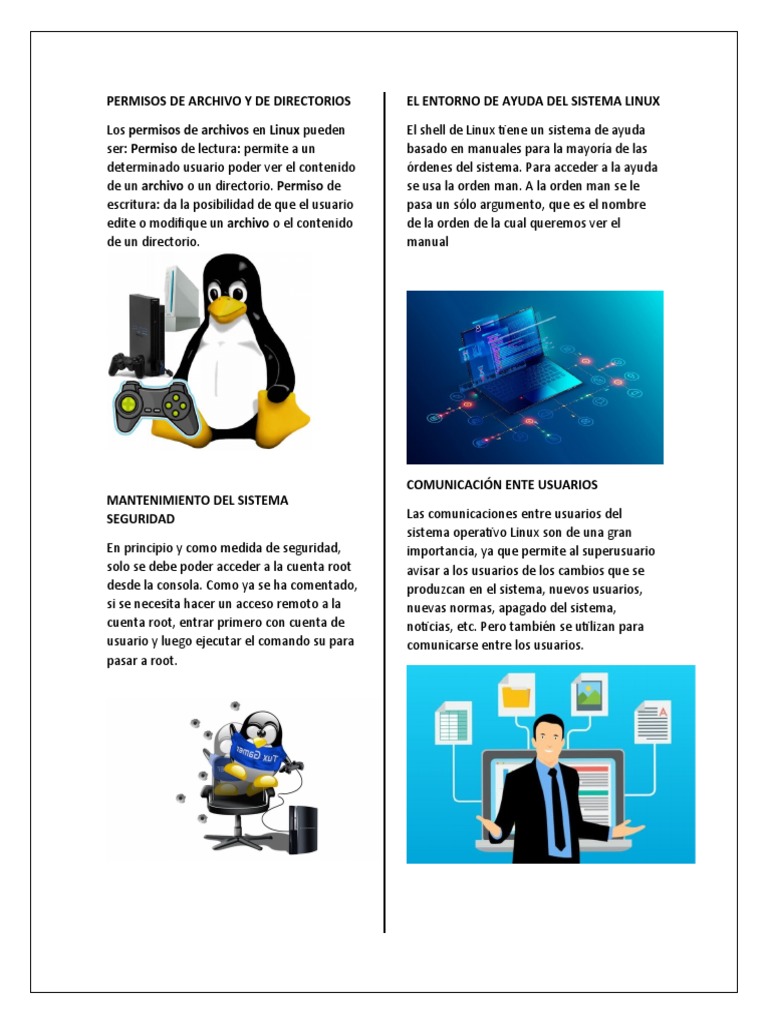 Infografia Tema | PDF | Programa de computadora | Programación
