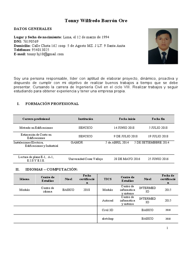 Curriculum Vitae. | PDF | Ingeniería