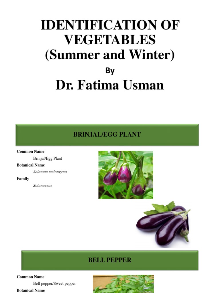 Identification of Vegetables (Summer and Winter) Final | PDF | Broccoli ...
