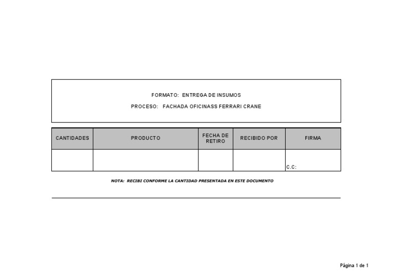 Formato Entrega INSUMOS | PDF