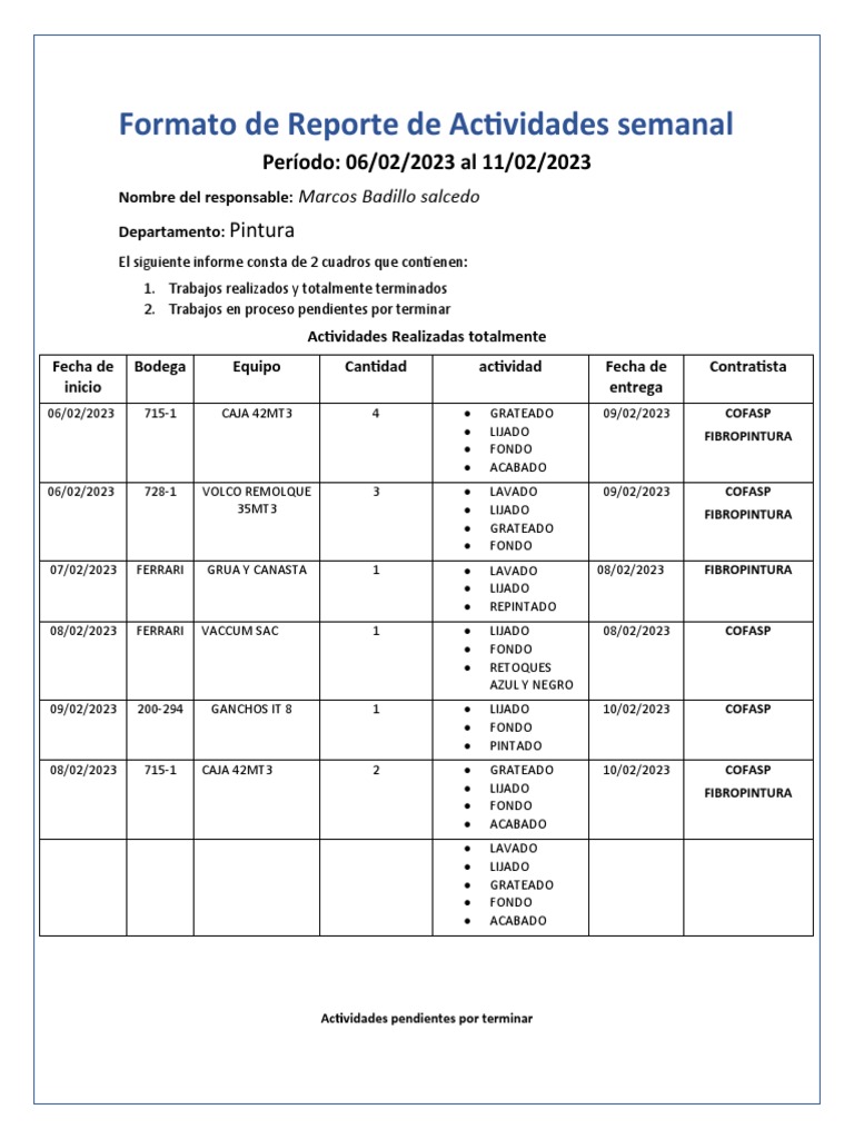 Reporte de Actividades | PDF