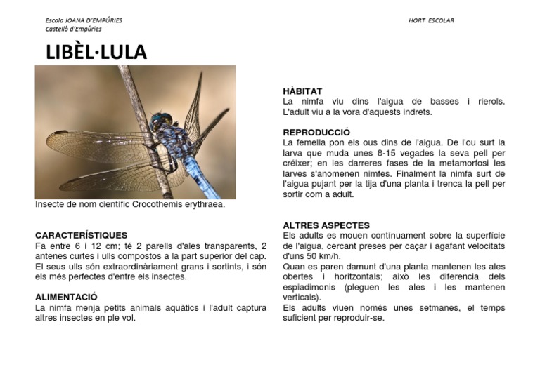 18 Libèl Lula 11 - 12 | PDF