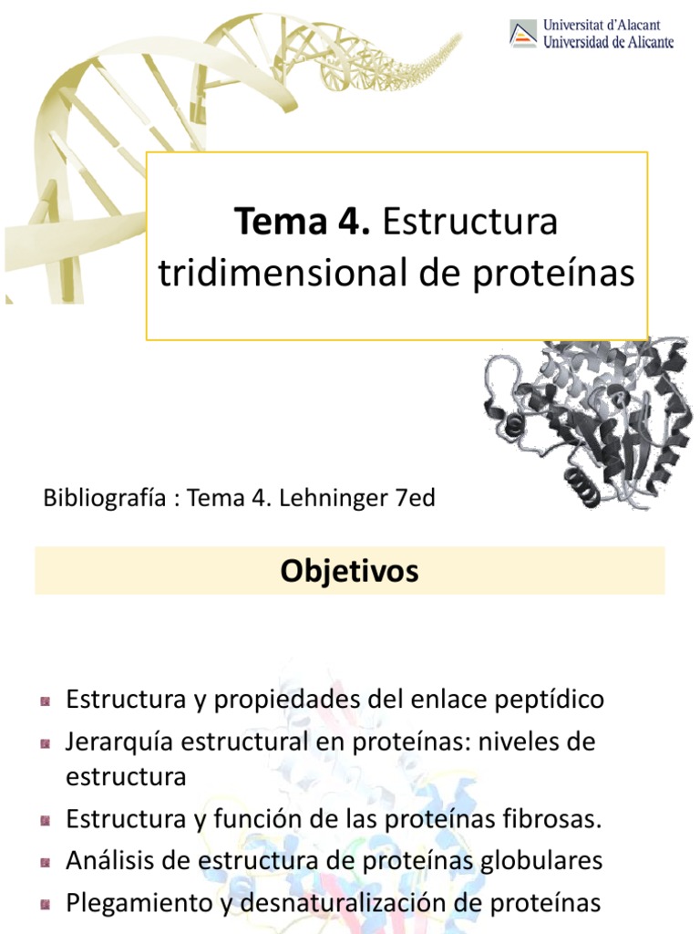Tema_4_Estructura Tridimensional de Proteínas (1) | PDF | Colágeno | Estructura proteica