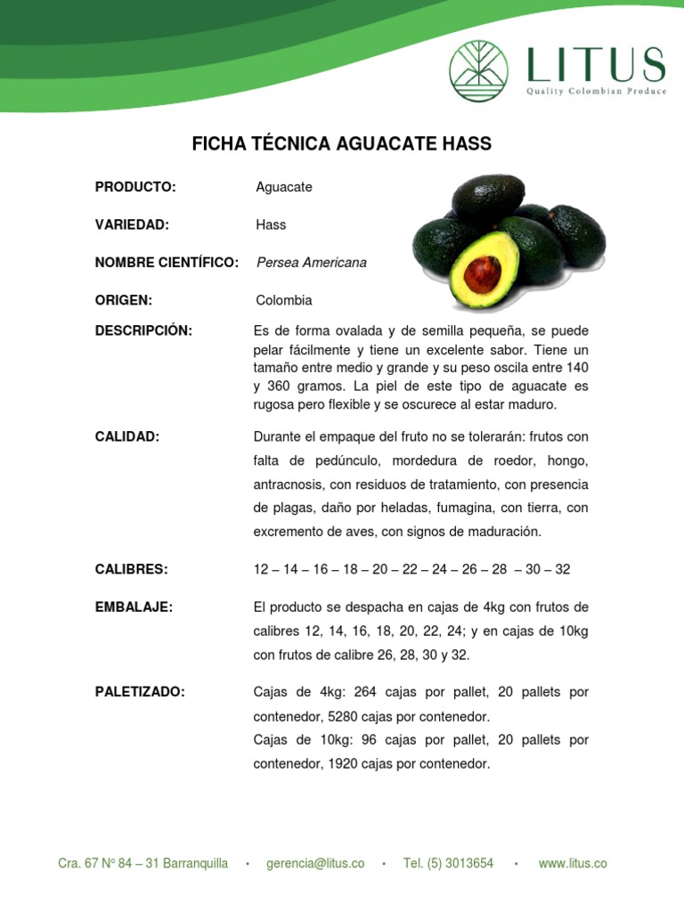 Ficha Técnica Aguacate Hass | PDF | Hogar, jardinería y bricolaje