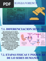 La Corificación | PDF