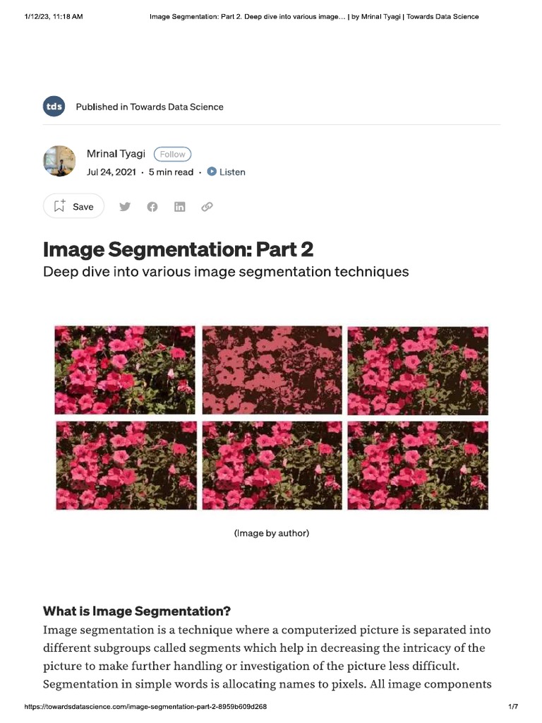 Region Growing Method | PDF