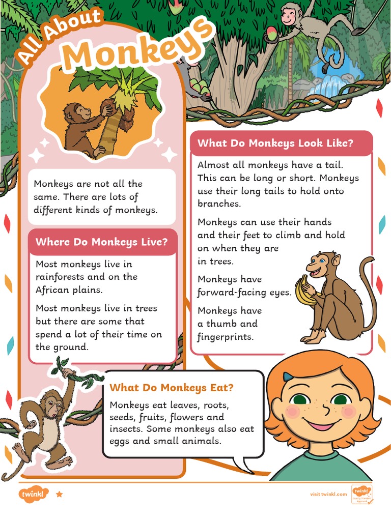 T e 1667493037 ks1 All About Monkeys Differentiated Reading ...