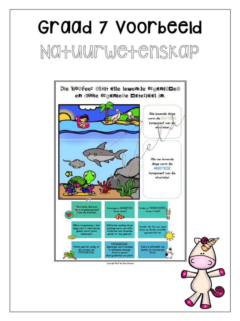 Graad 7 Voorbeelde PDF | PDF