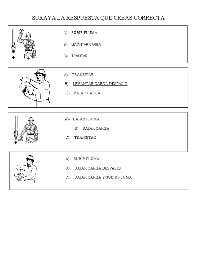 Suraya La Respuesta Que Creas Correcta | PDF