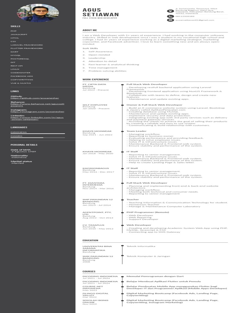My CV English Version | Download Free PDF | Web Development | Computer Programming