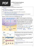 Immunity Pogil Packet Key 4 - 8 P | PDF