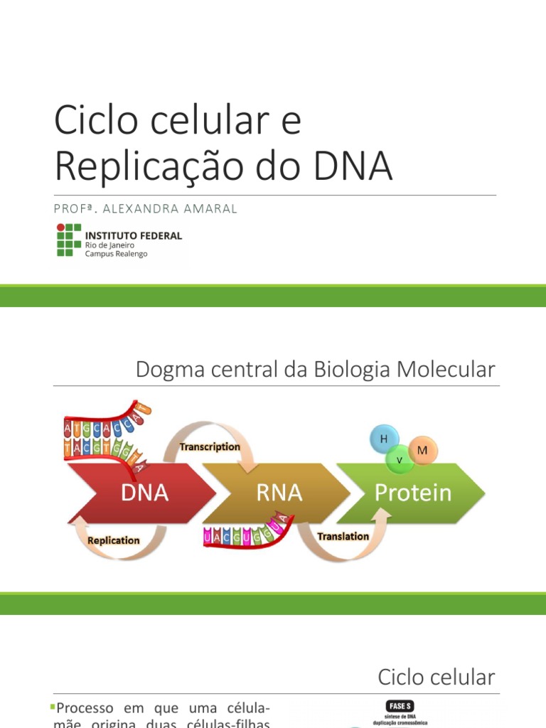Aula 3 - Ciclo Celular e Replicação Do DNA | PDF | Replicação de DNA | DNA