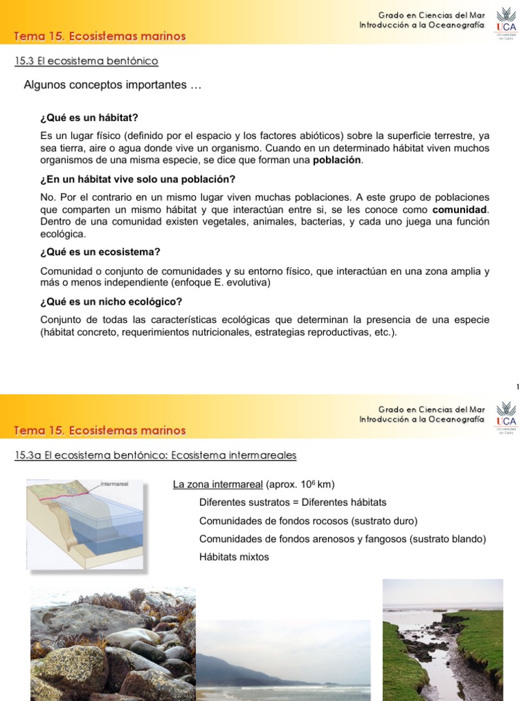 Ecosistemas Bentónicos Marinos | PDF | Habitat | Ecosistema