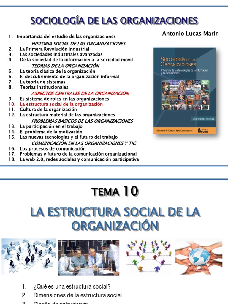 10 - La Estructura Social en La Organización | PDF | Diseño ...