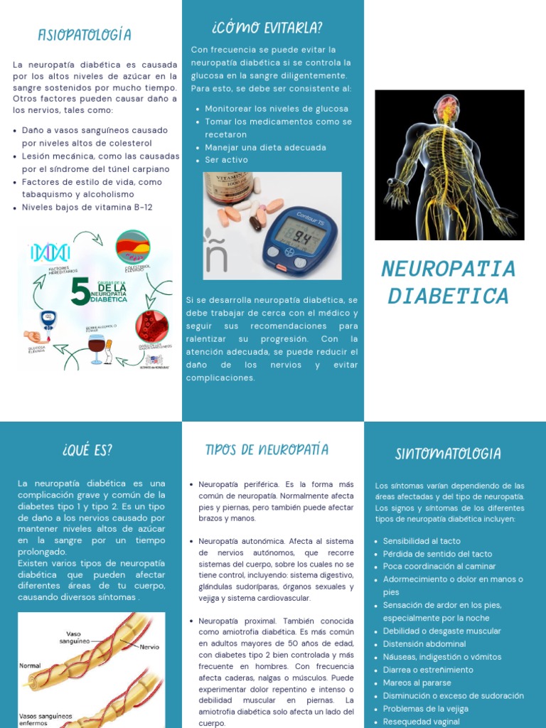 Neuropatía Diabética Triptico | PDF | Diabetes | Nervio