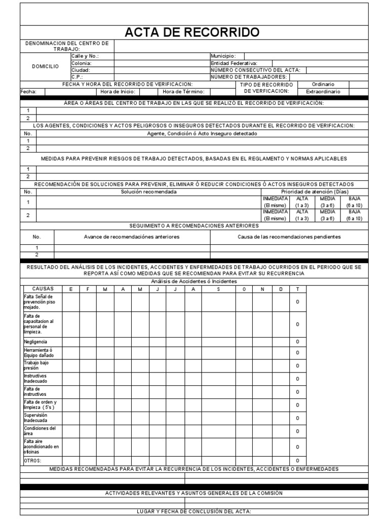 Acta de Verificación STPS y Resultados | PDF