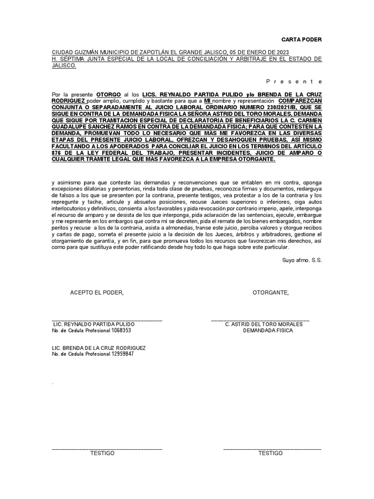 Ejemplo de Carta Poder | Descargar gratis PDF | Ley Pública | Judicaturas