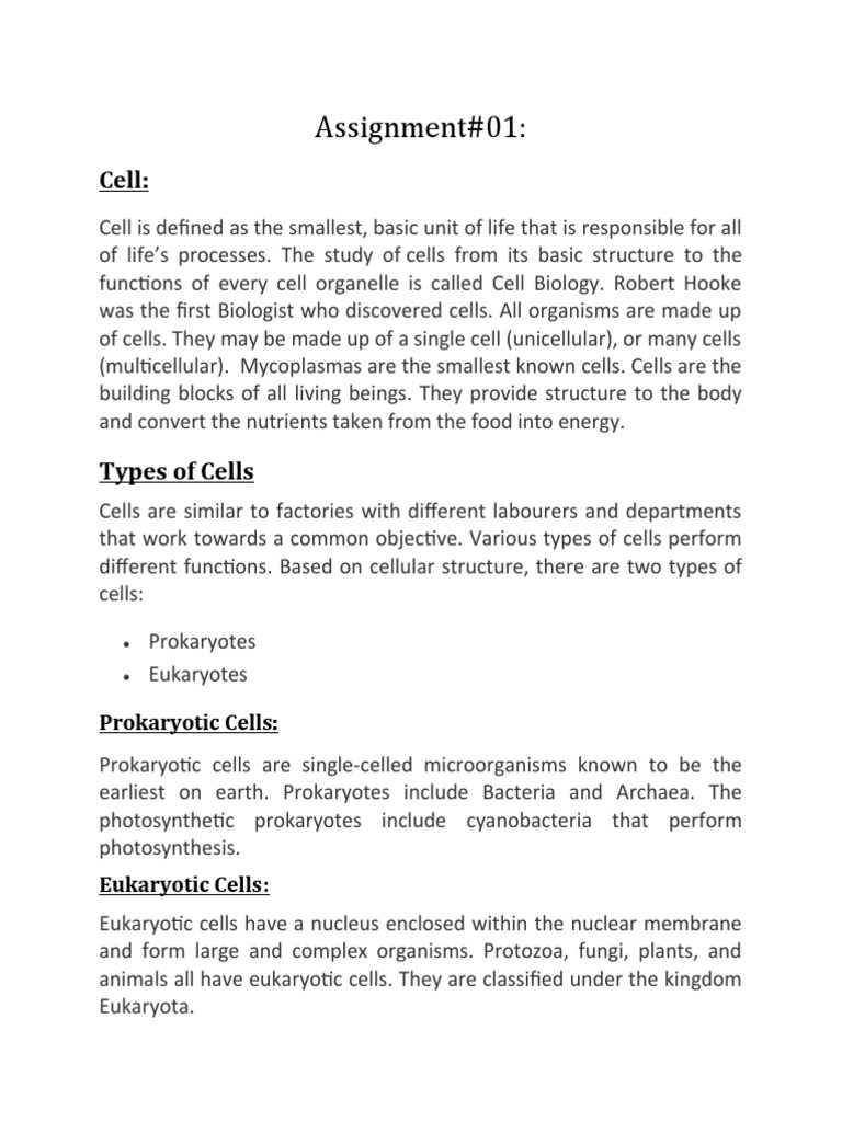Assignment On Cells and Stem Cells | PDF | Cell Potency | Embryonic ...