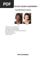 Visual Arts Sba 2018 | PDF | Art Media | Arts (General)