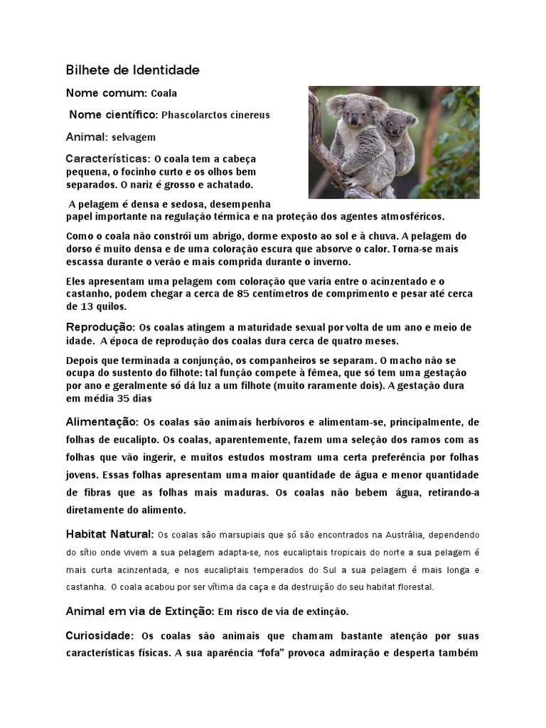 Características e Habitat do Coala | PDF | Ciências e Matemática
