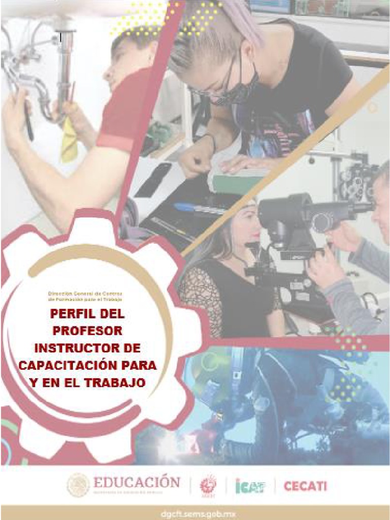 Perfil Profesor Instructor - DGCFT 2022-2023 | PDF | Evaluación ...