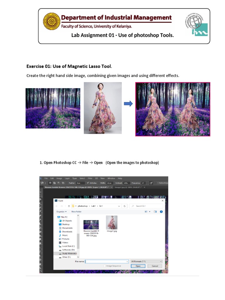 MT Lab Assignment 01 | PDF