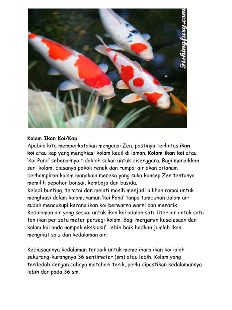 Kolam Ikan Koi | PDF