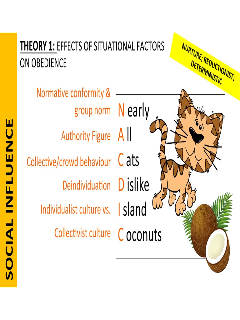 Memory Theories Overview | PDF | Memory | Cognitive Psychology