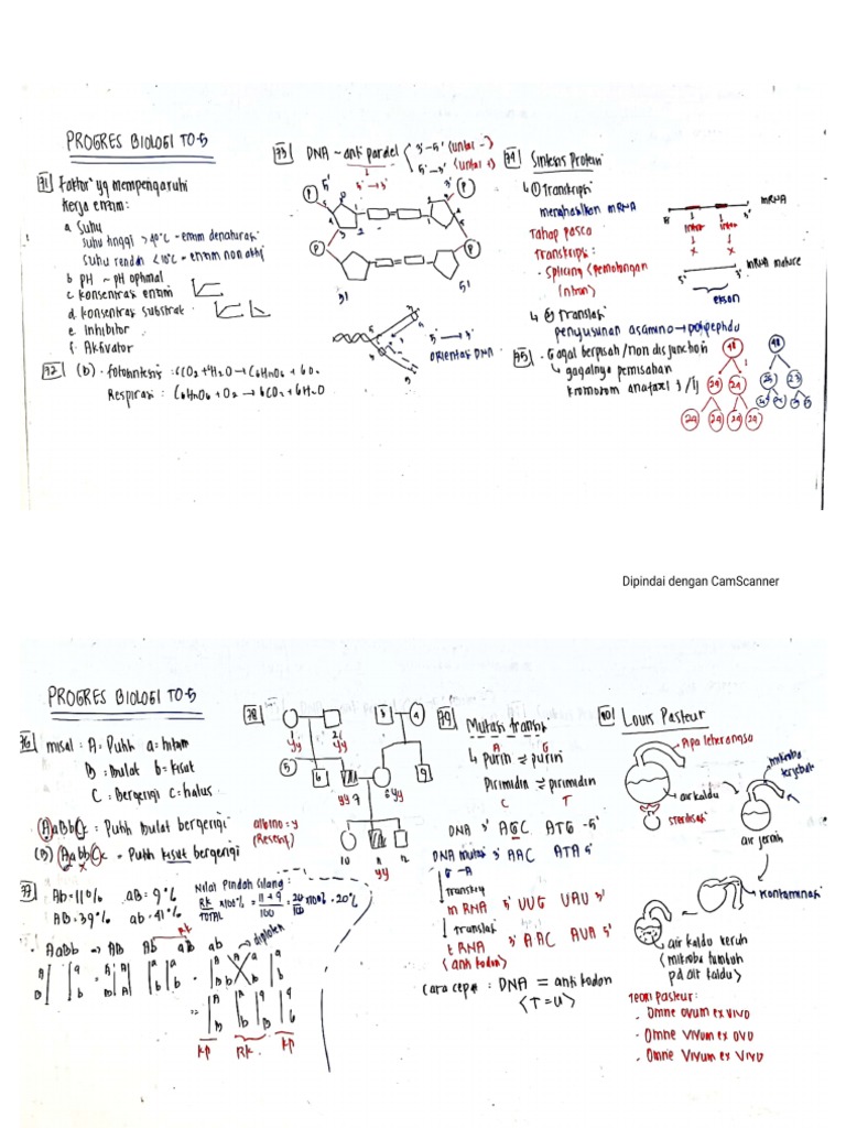 Progres Bio TO5 | PDF