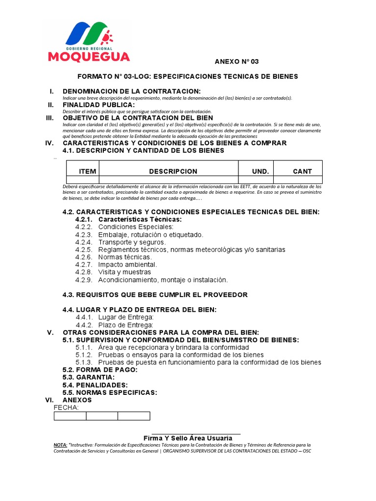TDR - Asistente Tecnico | PDF