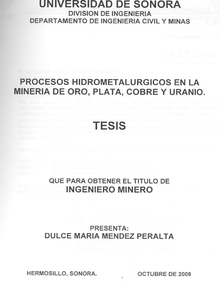 Mendez Peralta Dulce Maria L | PDF
