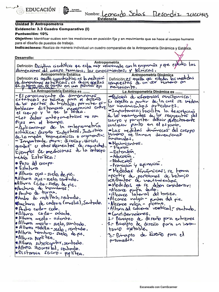 3 3 Cuadro Comparativo Ad Y Ae Pdf
