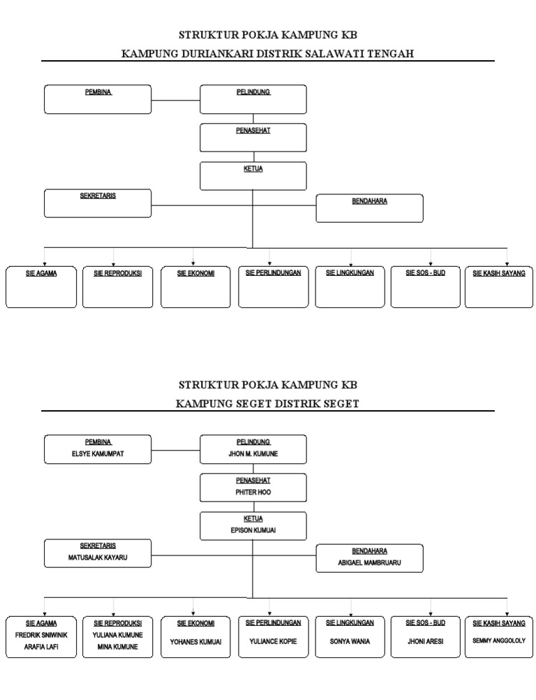 Struktur Pokja Kampung KB | PDF