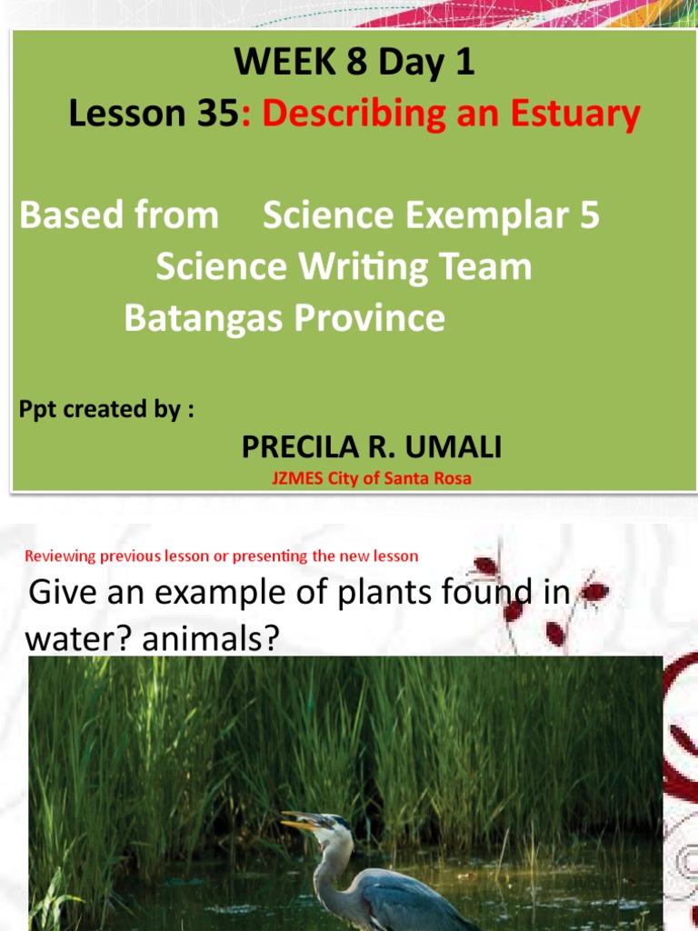 Understanding Estuaries and Intertidal Zones | PDF | Hydrology ...