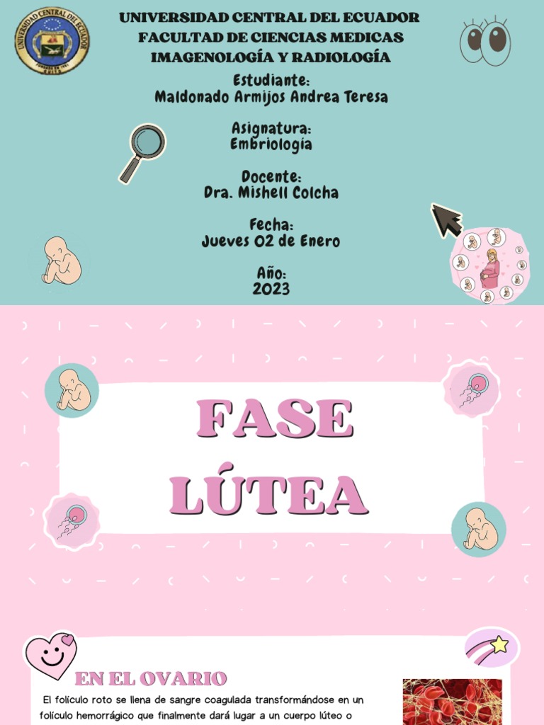 FASE LÚTEA | PDF | Ciclo menstrual | Hormona luteinizante
