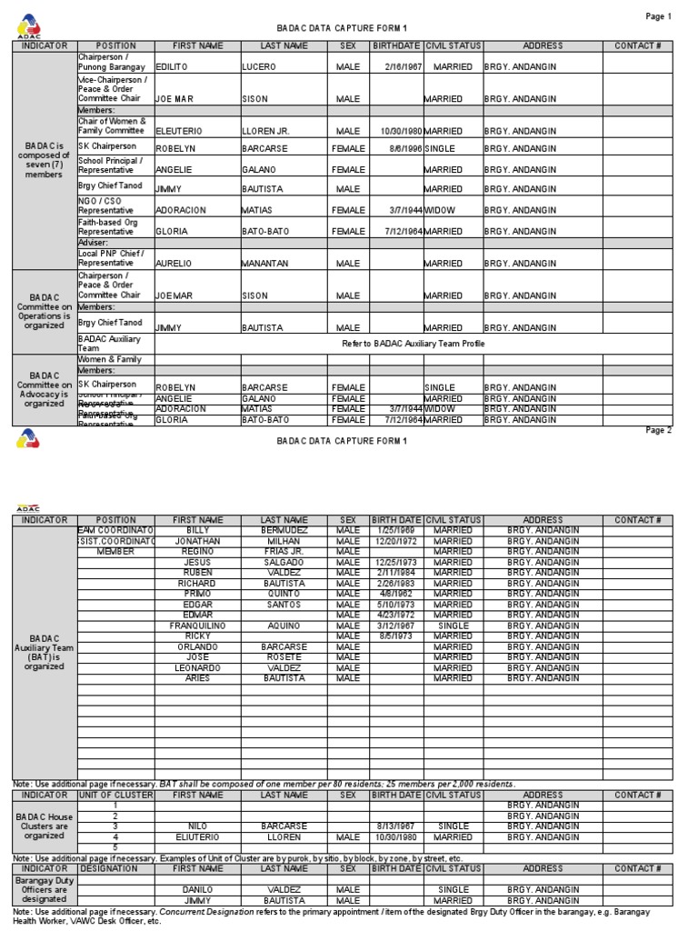Andangin 4-Badac Data Capture Forms | Download Free PDF | Health ...