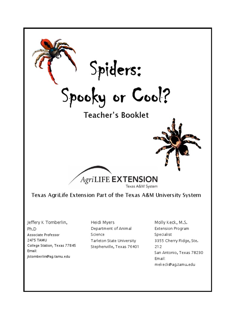 Spiders TeachersBooklet | PDF | Spider | Insects