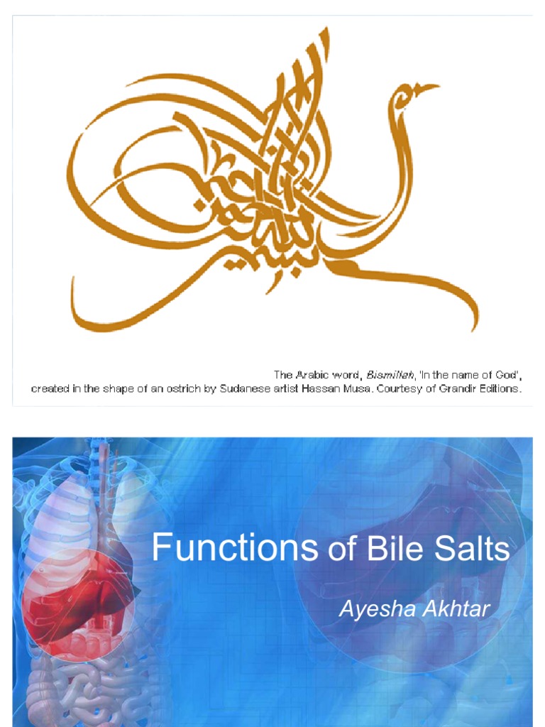 Functions of Bile Salts | Bile | Cholesterol