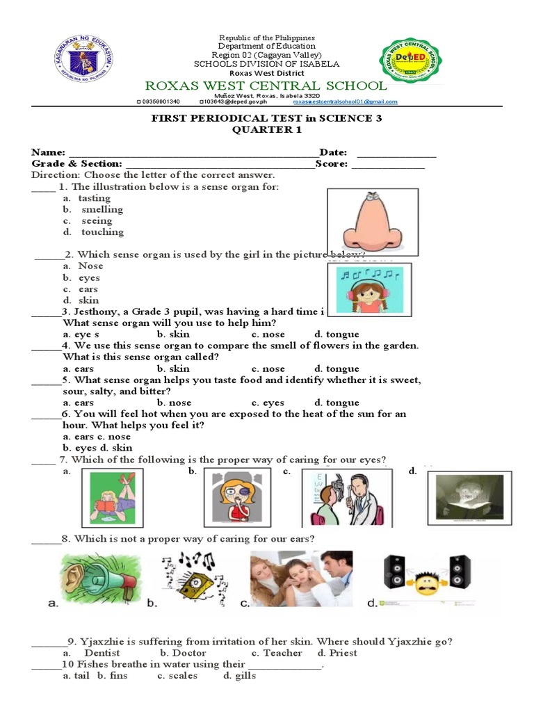 GRADE-3-2nd Quarter R | Download Free PDF | Senses | Taste