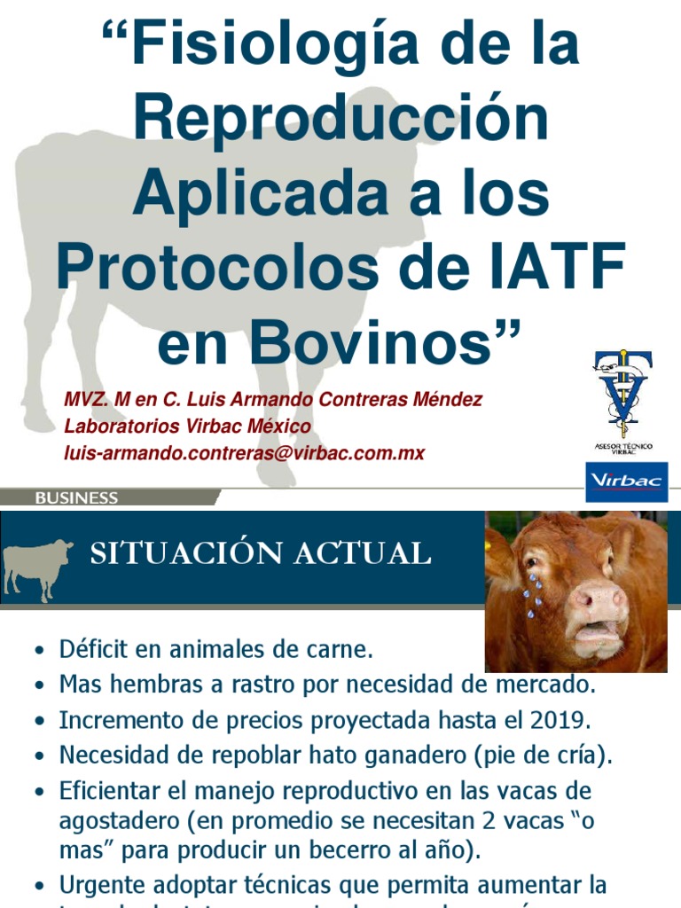 Protocolos IATF en Reproducción Bovina | PDF | Ovario | Procesos biologicos
