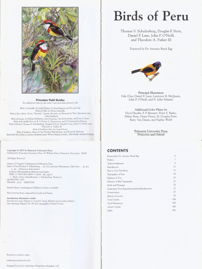 Birds of Peru Schulenberg | PDF