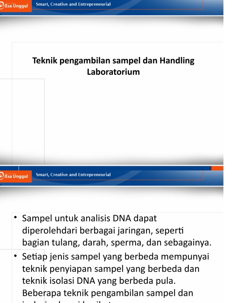 OPTIMASI SAMPEL | PDF