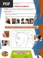 Corte de Cabello A 90 Grados Paso A Paso | PDF | Pelo