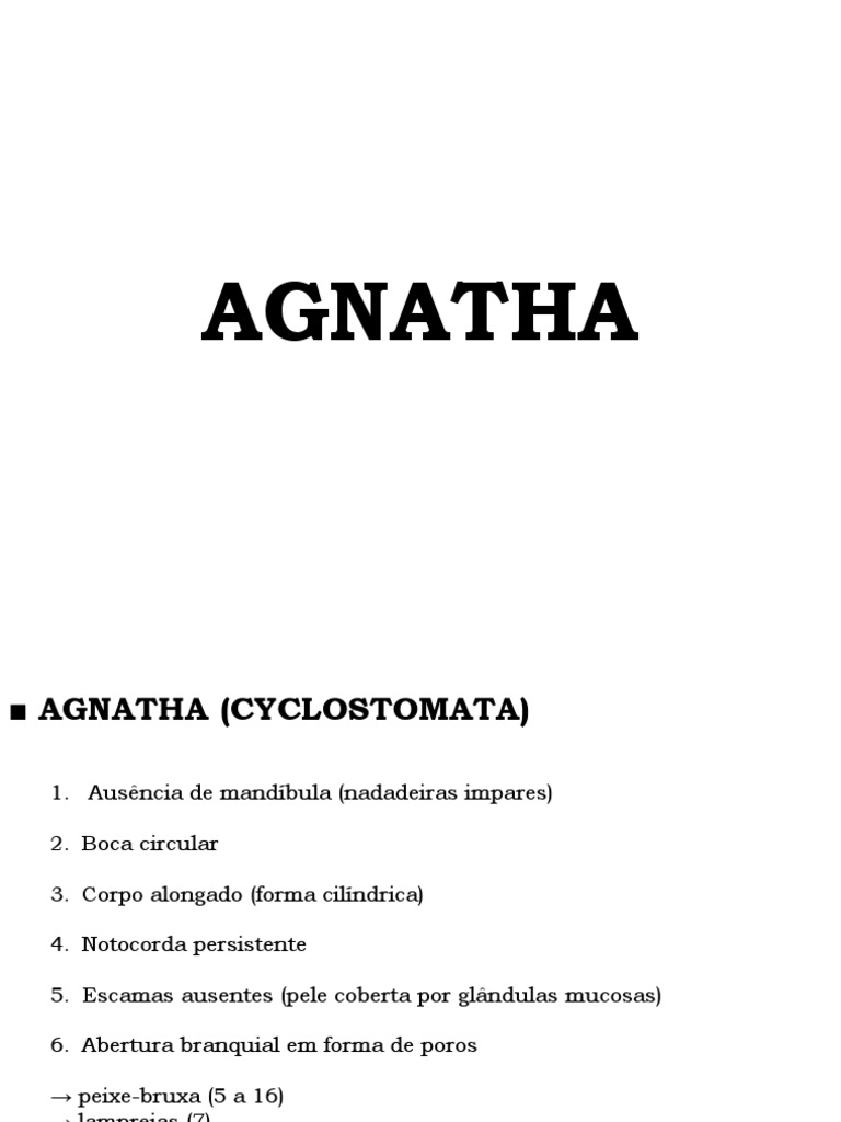 Agnatha | PDF | Vertebrados | Peixes