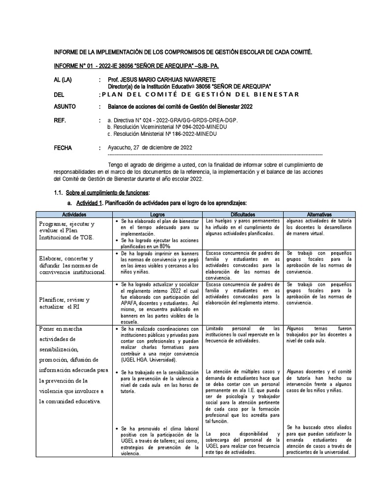Informe de Comites | PDF