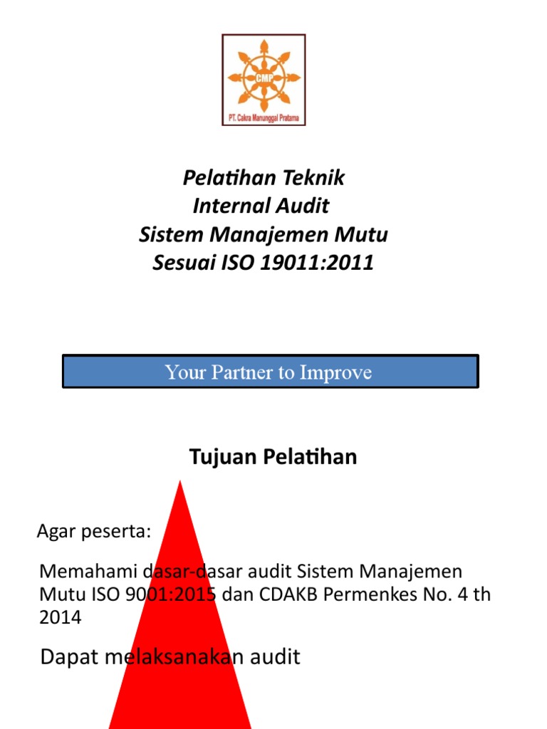 3 Internal Audit | PDF
